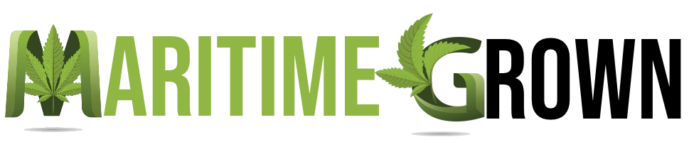 Mainlining Weed Plants High Stress Training Guide